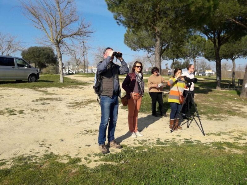 Doñana National Park Off-Road Tour from Seville - Final Thoughts