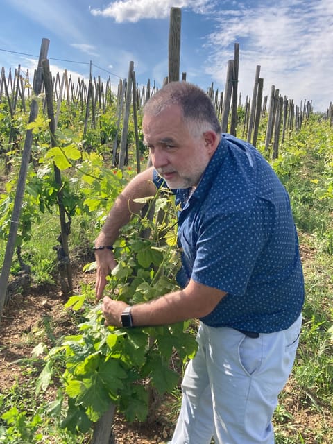 DUO PARENTS CHILDREN WINE CÔTE-RÔTIE TOUR VISIT - Final Thoughts