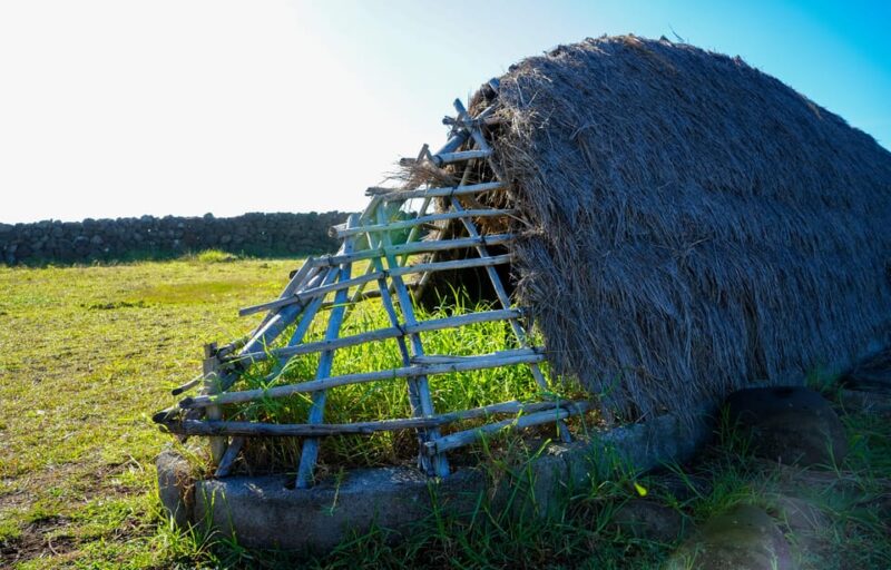Easter Island: Moai Full Day Private Tour - FAQ