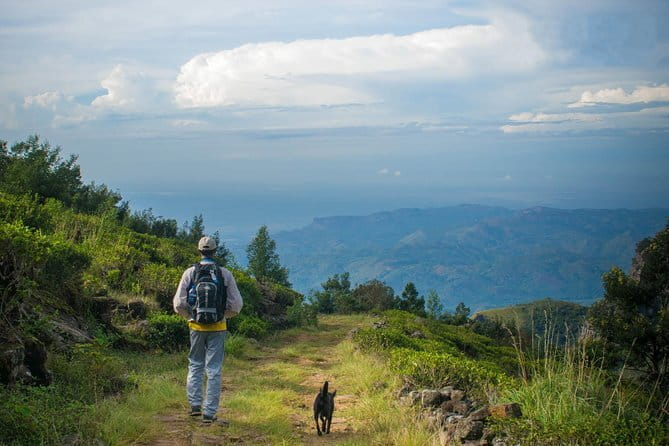 Ella Cycling Experience in Ella - The Sum Up: Who Should Consider This Tour?
