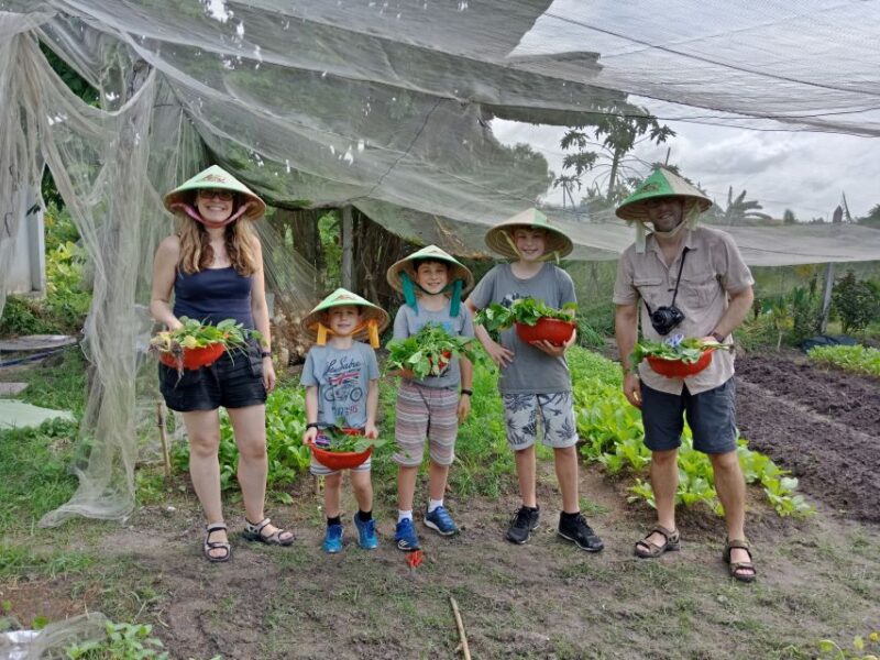 Farm-To-Table Healthy Cooking Class: Half-Day Tour - The Sum Up