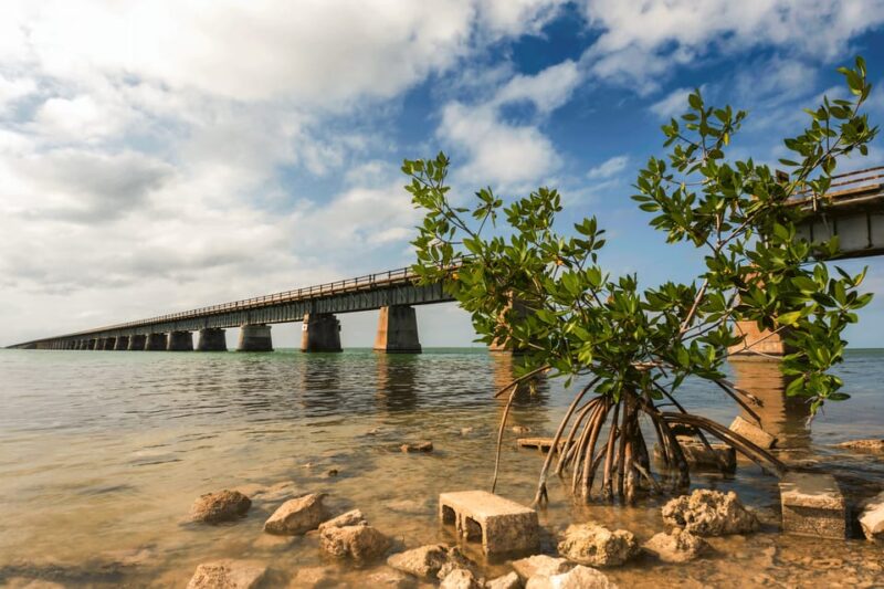 Fort Lauderdale to Key West Day Trip - Who Should Consider This Tour?