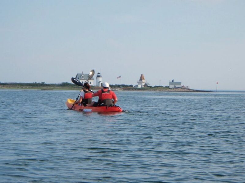Fort Myers: Guided Kayak or SUP Tour in Pelican Bay - The Sum Up