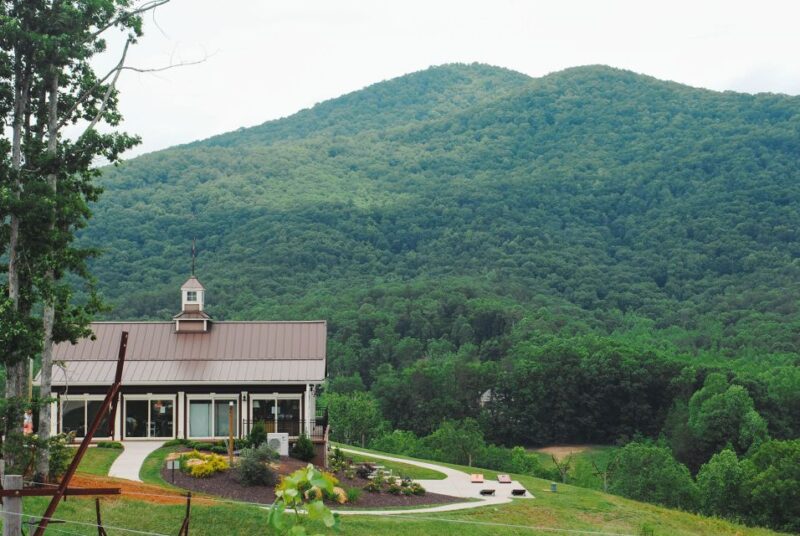 From Atlanta: North Georgia Wine Country Tour - Practical Details and Tips