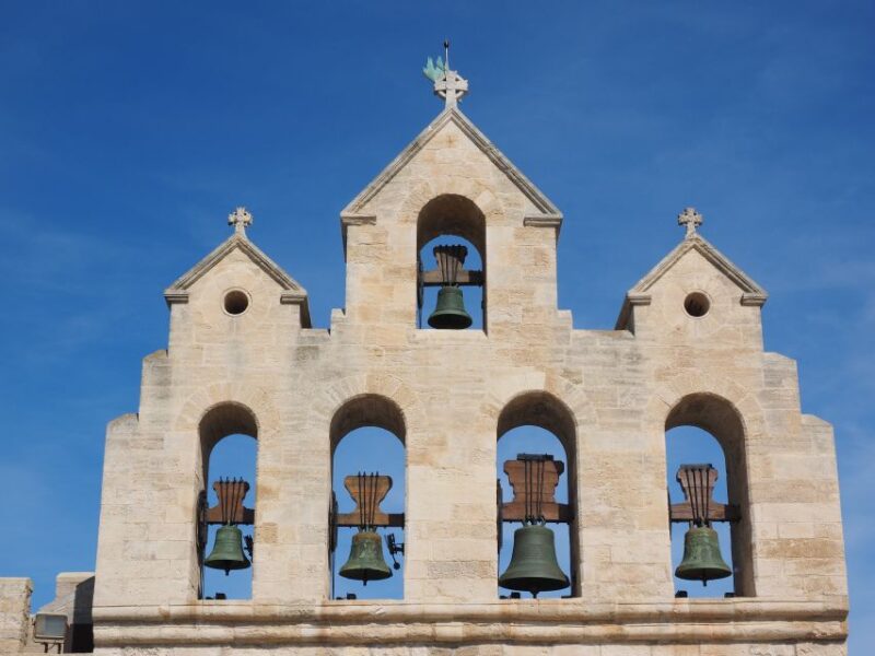 From Avignon: Half-Day Camargue and Saintes-Maries-de-la-Mer - Value and Cost Analysis