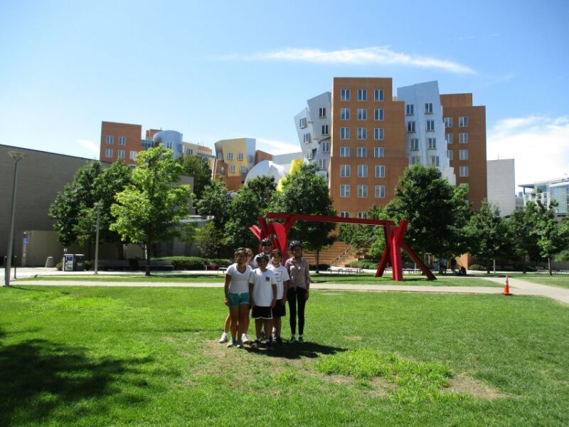 From Boston: Guided Bike Tour of Cambridge - Practical Details and Value