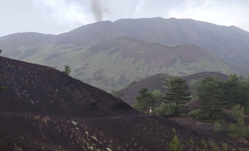 From Catania: Guided Hike on Etna, wines and nibbles - FAQ