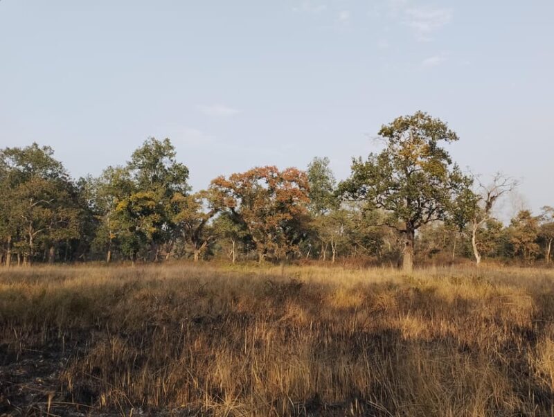 From Chitwan: Half Day Caneoing & jungle walk with Guide - Final Word