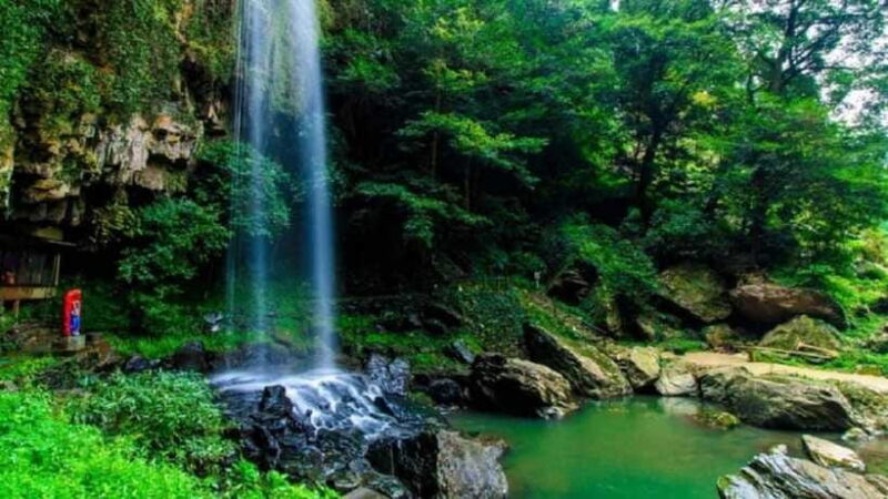 From Da Nang/Hue: Bach Ma National Park Day Trip - Final Thoughts