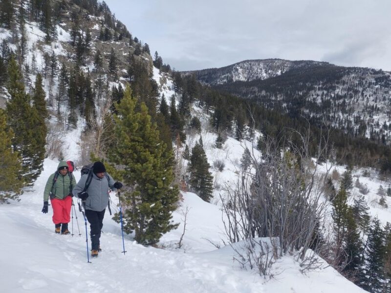 From Denver: Guided Hike in the Rockies - Final Thoughts