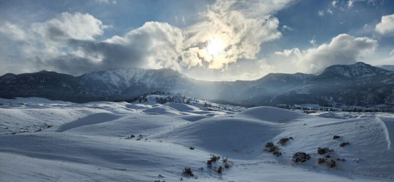 From Gardiner: Guided Yellowstone Cross-Country Skiing Tour - Practical Considerations for Travelers