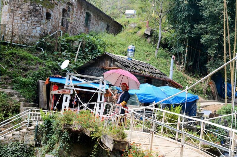 From Hanoi: 2-Day Sapa-Fansipan Peak & Trek & Ha Giang Bus - What Reviewers Say
