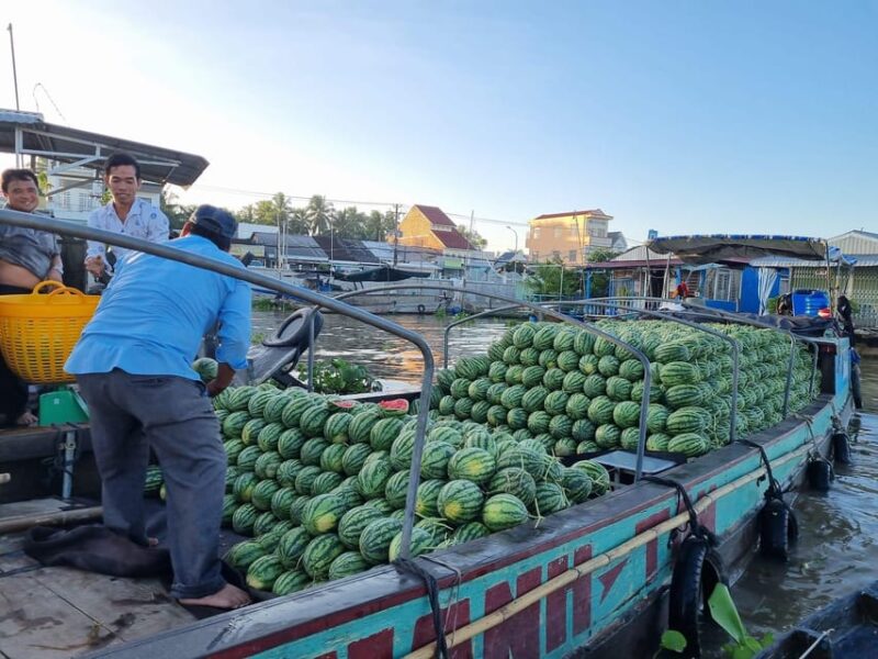 From HCM: Explore Mekong Delta & Floating Market For 2 Days - Final Thoughts