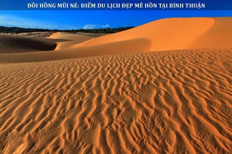 From Ho Chi Minh City: Mui Ne Beach & Fairy Stream - FAQ