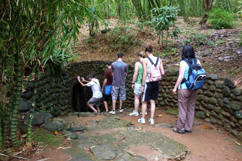 From Ho Chi Minh: Cu Chi Tunnels And Mekong Delta Full Day - Who Should Consider This Tour?