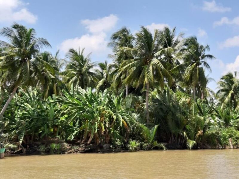 From Ho Chi Minh: Mekong Delta with Ben Tre 1 Day Tour - The Sum Up