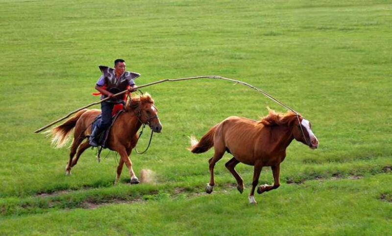 From Hohhot: 8-Day Inner Mongolia Private Tour to Ordos - Who This Tour Suits Best