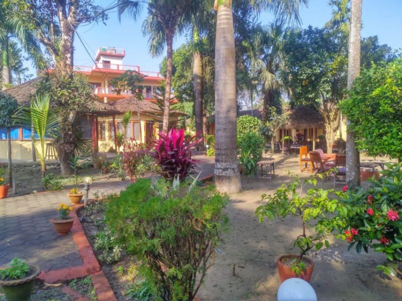 From Kathmandu/Pokhara: 3 Day All-Inclusive Chitwan Safari - A Few Drawbacks to Consider