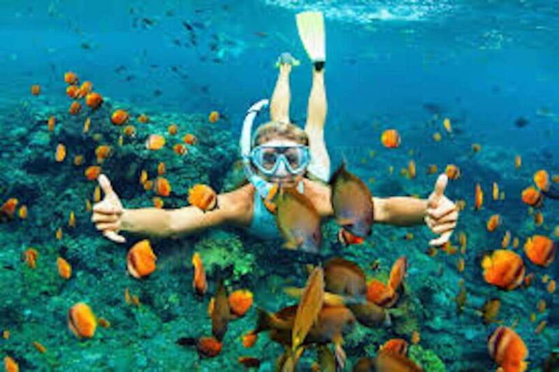 From Koh Lipe: Best Snorkeling Trip - Value and Practical Considerations