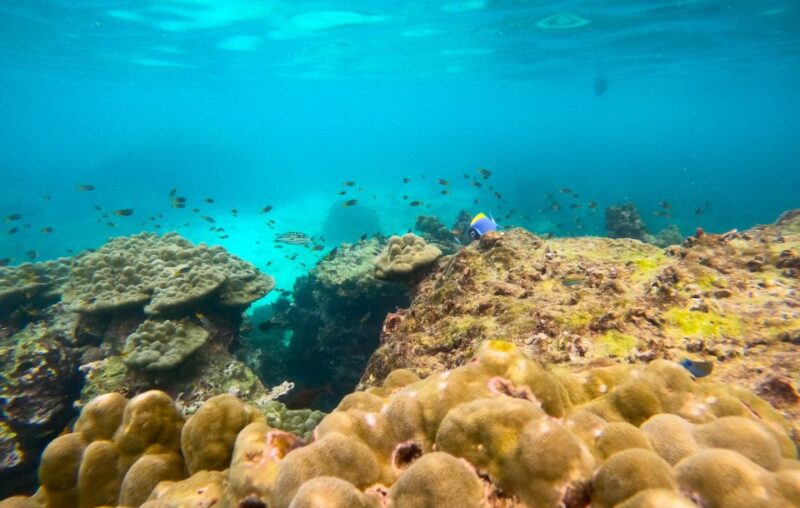From Koh Tao: Sightseeing Tour with Snorkel by Private Car - Frequently Asked Questions
