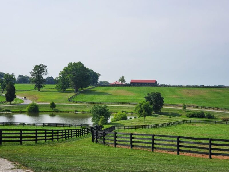 From Lexington: Kentucky Horse Farms Tour - The Transportation and Duration