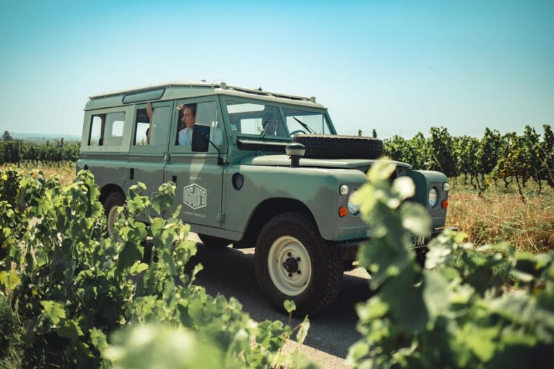 From Lyon: Burgundy Private Half Day Tour by Defender - Who Is This Tour Best For?