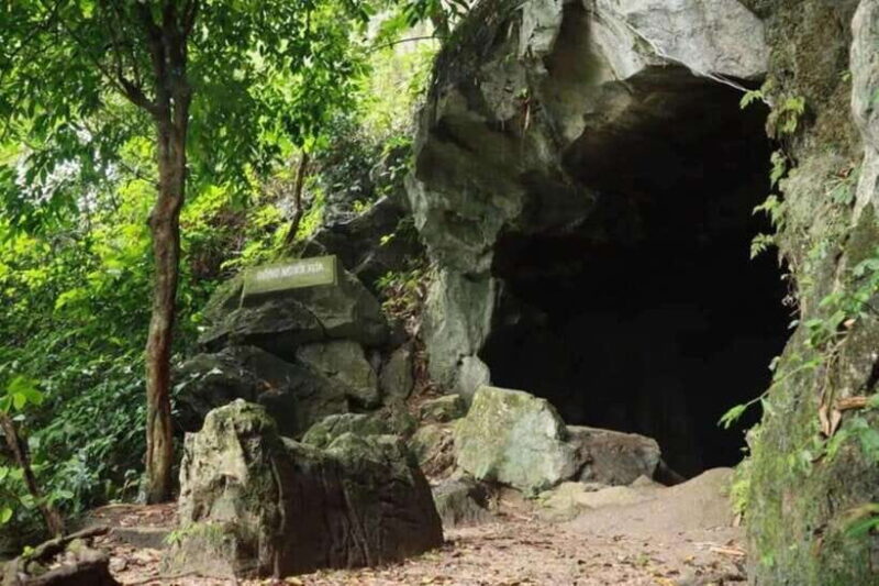 From Ninh Binh: Cuc Phuong National Park Day Trip - Authentic Encounters and Real Experiences