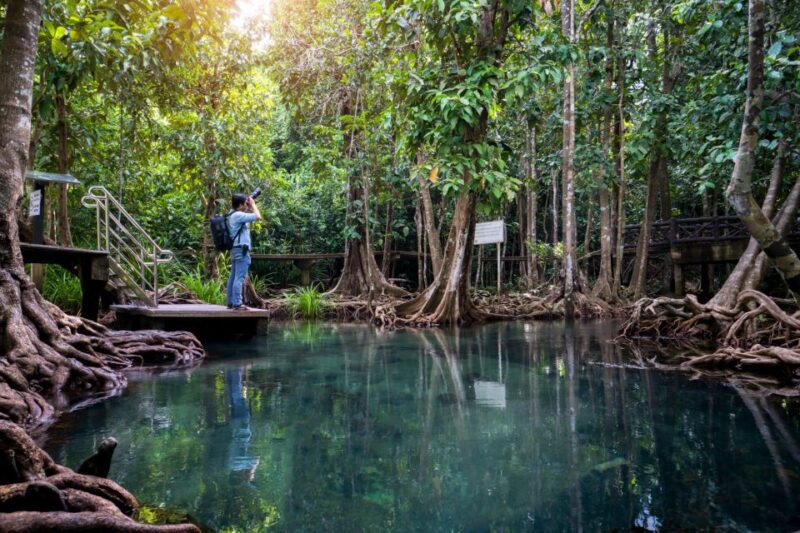From Phi Phi: Day Tour to Krabi with Transfers & Private Car - FAQ