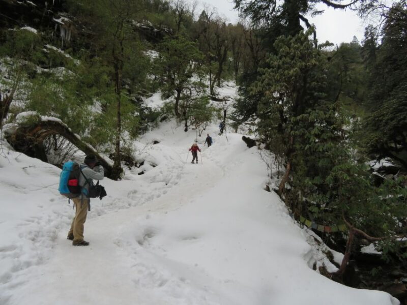 From Pokhara - Ghorepani Poon Hill Ghandruk Trek - 4 Days - Practical Tips for Travelers