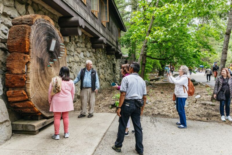 From San Francisco: Yosemite National Park Guided Day Trip - Cost and Overall Value