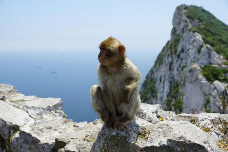 From Seville: Gibraltar and Tangier 2-Day Trip with Hotel - FAQ