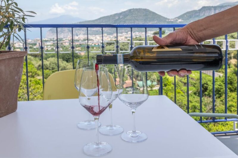 From Sorrento: Pizza-Making Class w/ View of Mount Vesuvius - The Sum Up