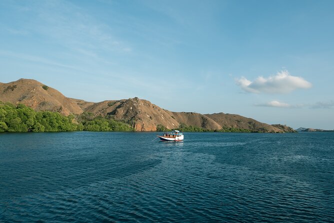 Full-Day Adventure Tour to komodo Island with join Speed Boat tur - Who Should Book This Tour?