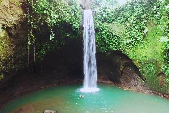 Full-Day Bali Private Customized Tours Create Your Itinerary - Pricing and Value
