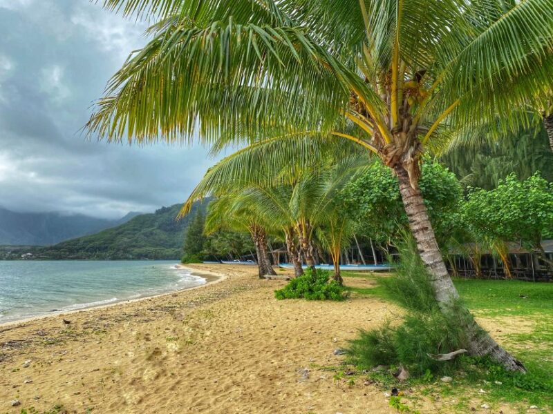 Full Day Best of Oahu Sightseeing Tour - Optional Stops Before Returning