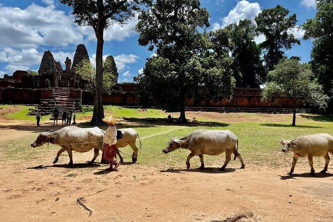 Full-Day 'Big Tour' with Sunset at Phnom Bakheng - Is This Tour Worth It?
