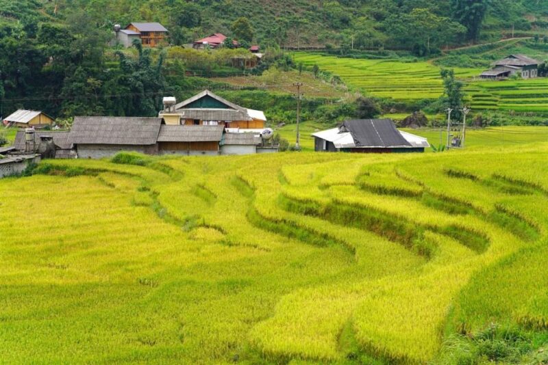 Full Day Trekking Lao Chai-Ta Van and Cat Cat Village - Practical Tips for Travelers