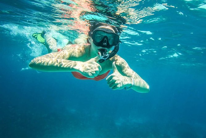 Full-Day Trip to Koh Tao and Koh Nang Yuan from Koh Samui by Speedboat - FAQ