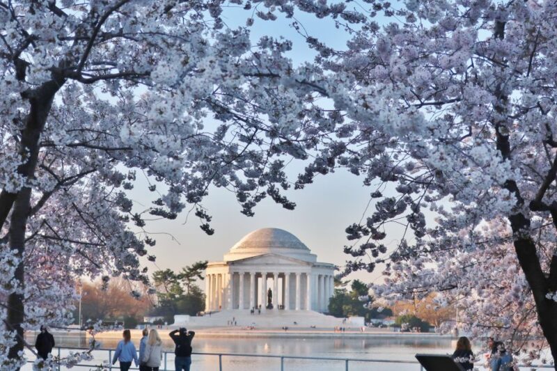 Full day Washington DC Tour from New York City - Who This Tour is Best For