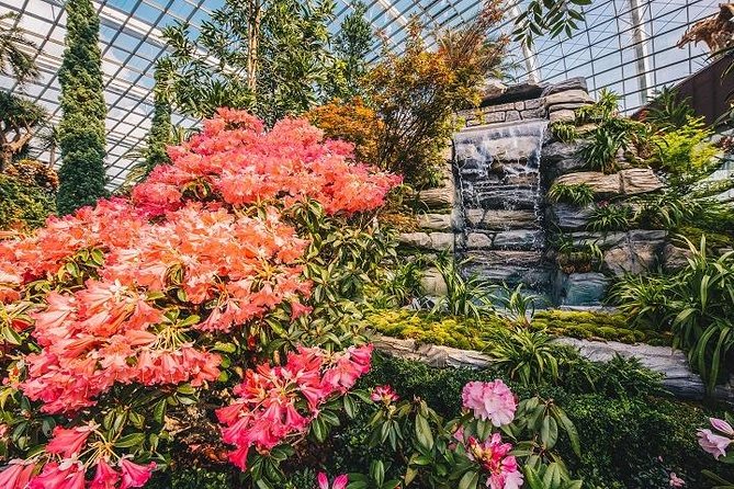 Gardens By The Bay Ticket - The Bottom Line: Who Should Book This Tour?