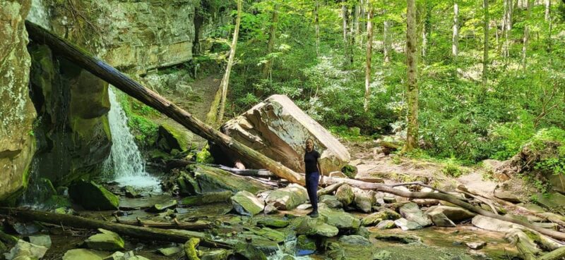 Gatlinburg: Great Smoky Mts National Park Waterfall Tour - The Experience Provider: Tours by Stella