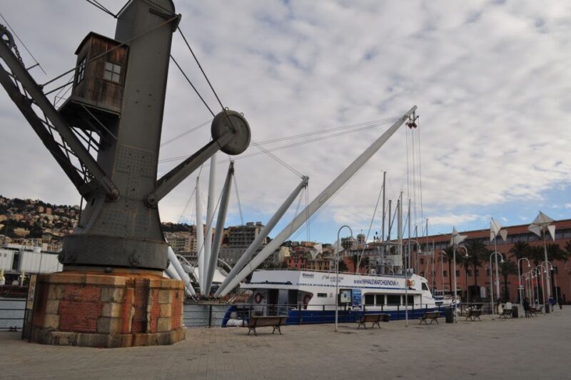 Genoa: Half-Day Tour to San Fruttuoso - Who Will Appreciate This Tour?