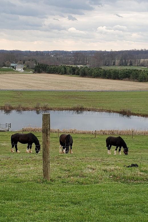 Gettysburg: Horse-Drawn Carriage Tour Countryside & Orchards - Why This Tour Works Well for Travelers