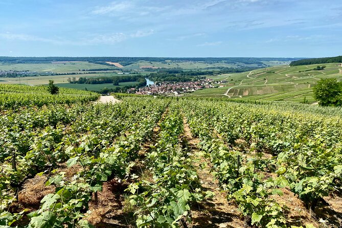 GRAND VINTAGE Moet et Chandon Veuve Clicquot Cellars & Tastings - Final Word