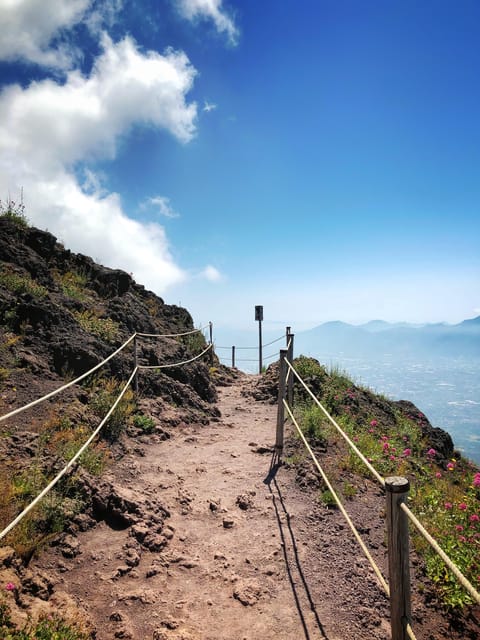 Guided Tour to Pompeii and Vesuvius from Sorrento - Final Thoughts