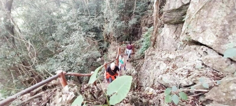 Half Day Hiking to Cat Ba National Park with a Guide - The Peak View: A Rewarding Finish