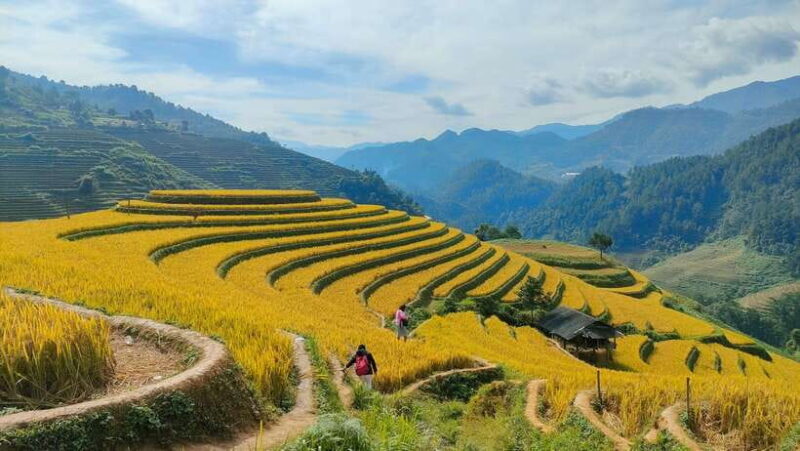 Half Day Private Trekking Mu Cang Chai_Morning or Afternoon - Who Will Love This Tour?