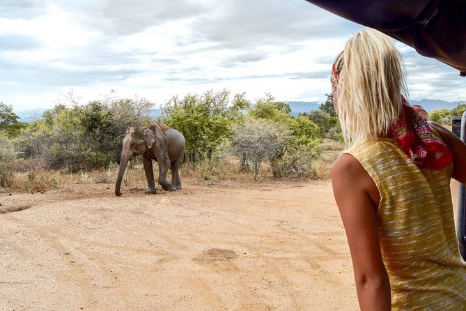 Half Day Udawalawe Safari from Kalutara (Entrance + Lunch) - Who Should Consider This Tour?