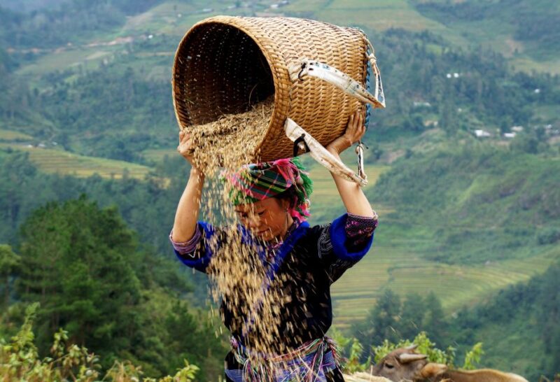 Hanoi: 3-Day Sapa Trek with Homestay - FAQ