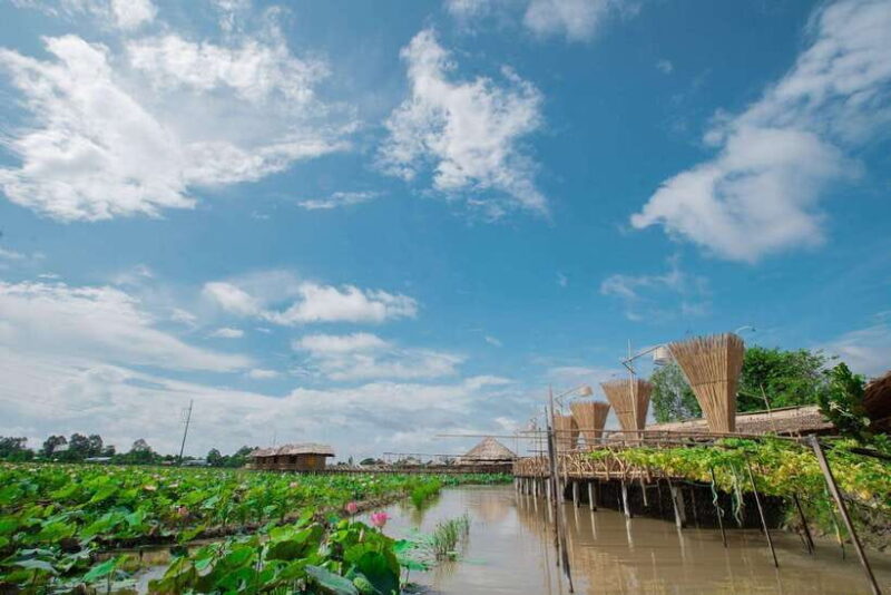 HCM: Authentic Dong Thap Mekong Delta Day Trip & Boat Ride - What Do the Reviews Say?
